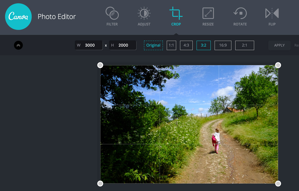 Úprava fotek online - přehled nejlepších programů | FotoGuru.cz
